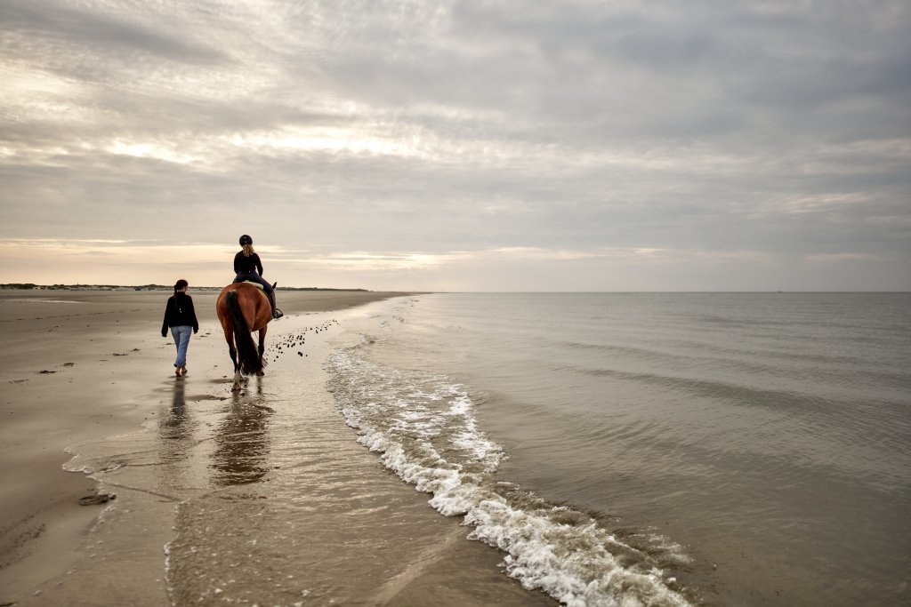 Unsere Insel Norderney | Events & Veranstaltungen - Insular