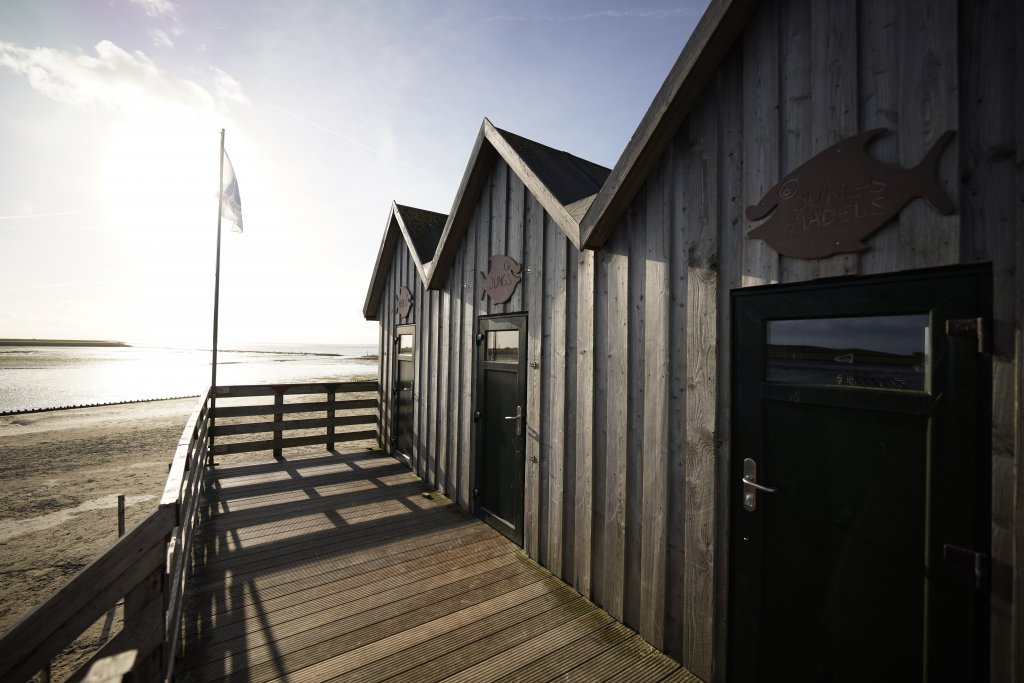 Unsere Insel Norderney | Events & Veranstaltungen - Insular